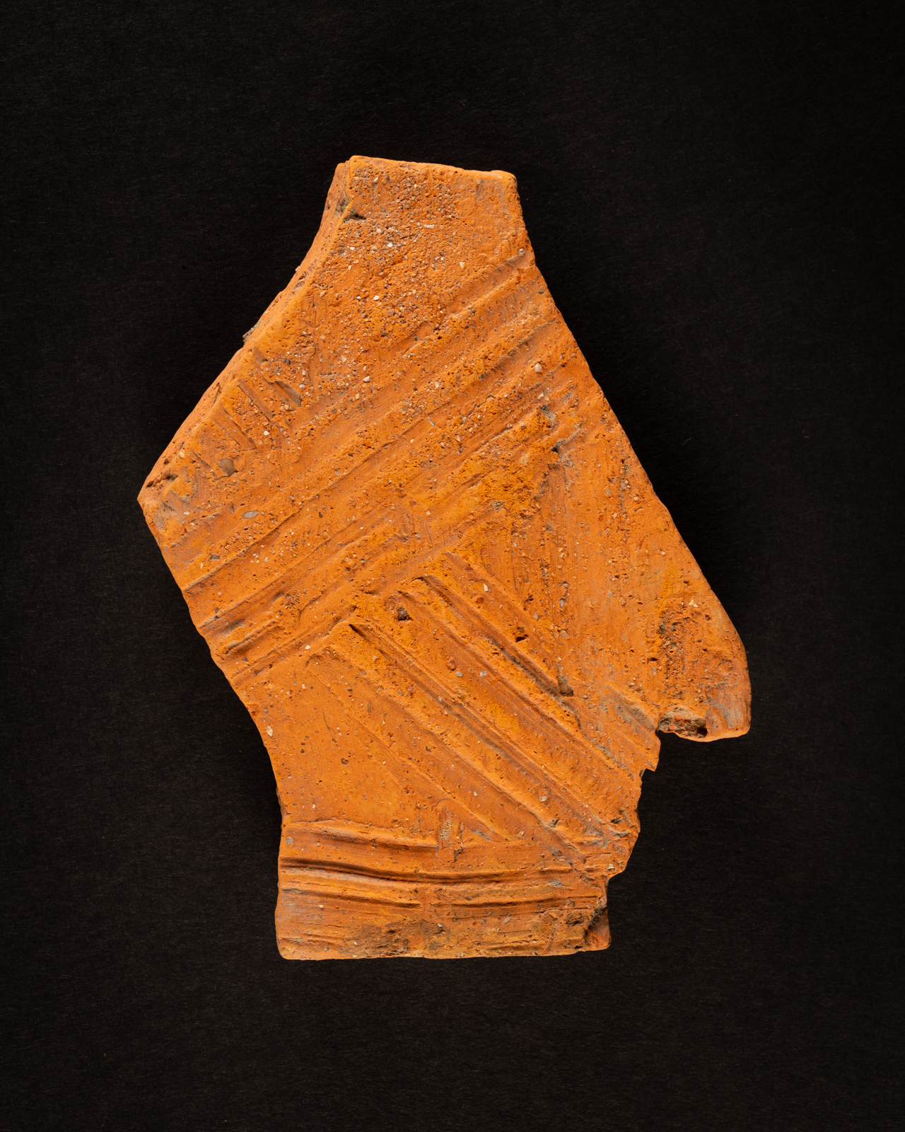 The archaeology of Walthamstow – a pop-up exhibition – Pre Construct ...