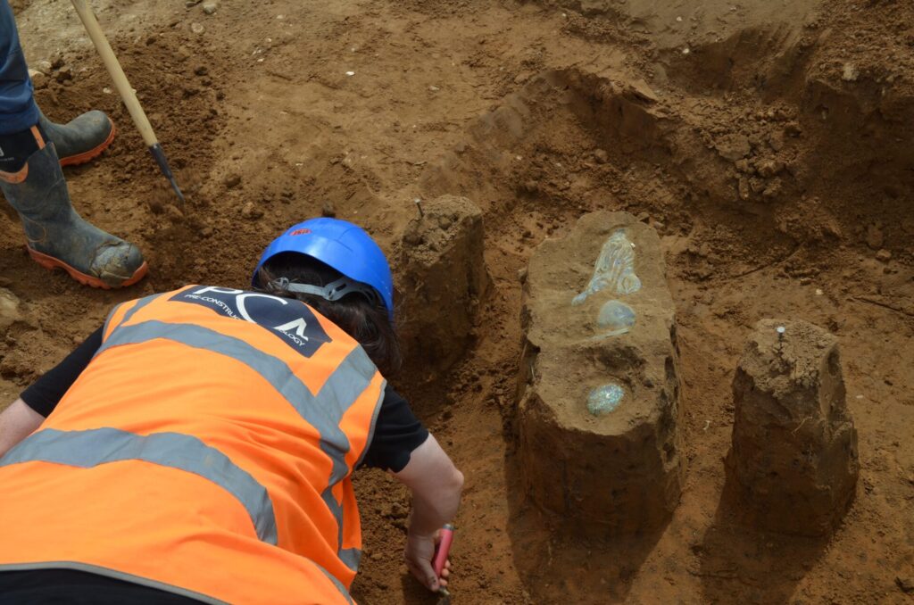 The Norfolk Carnyx on Digging for Britain – Pre Construct Archaeology